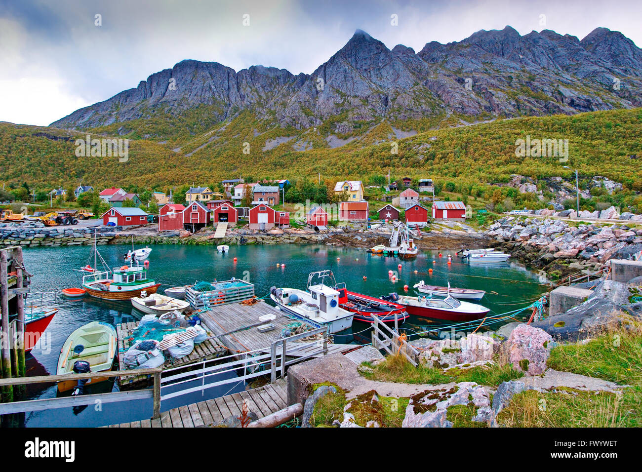 The harbor of fishing village Rødsand on island Senja in northern ...