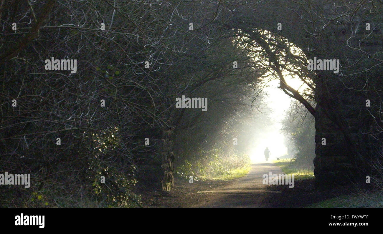 Sunlight and Shadow Stock Photo - Alamy