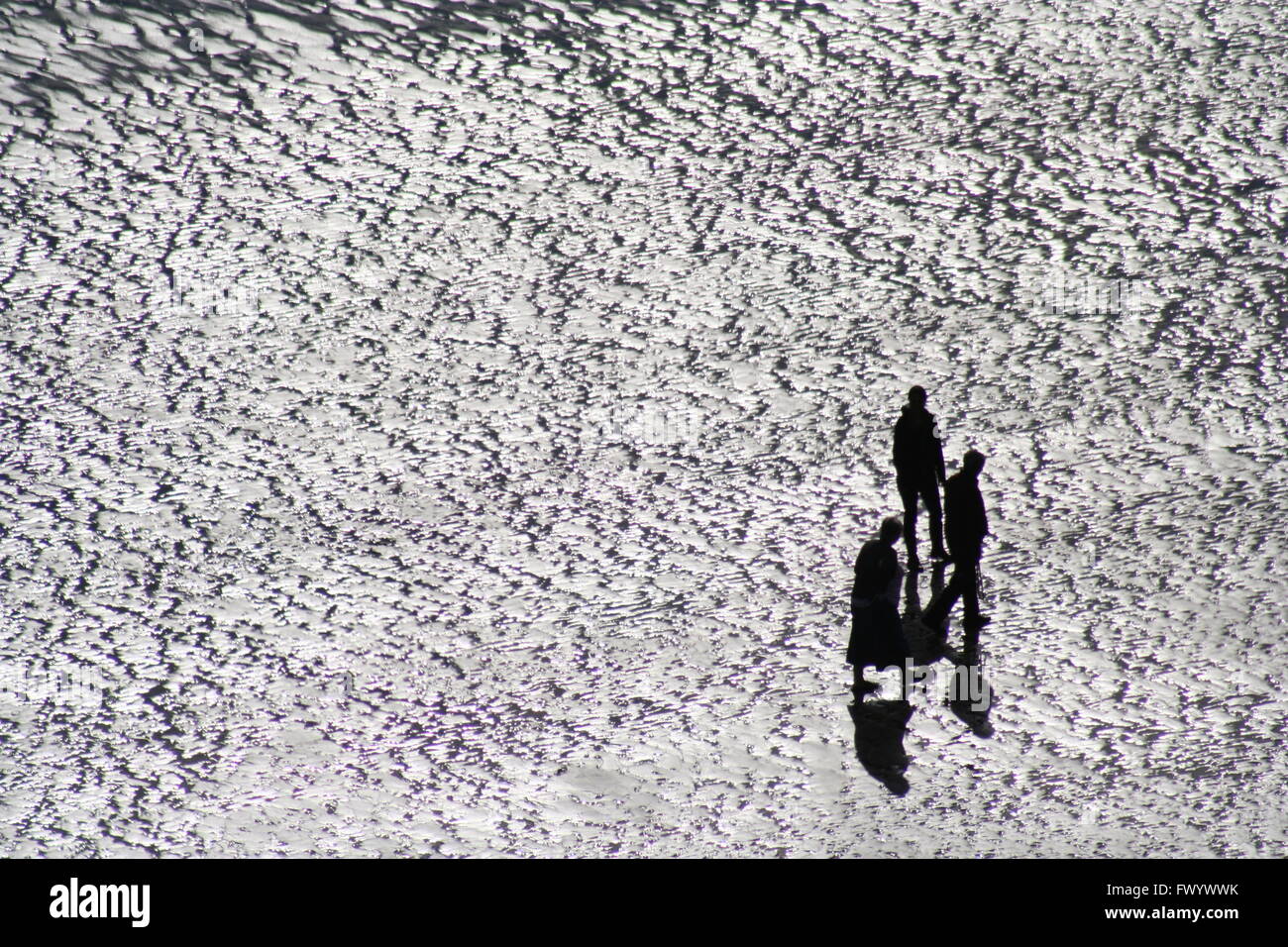 Silhouettes in the Sand Stock Photo - Alamy