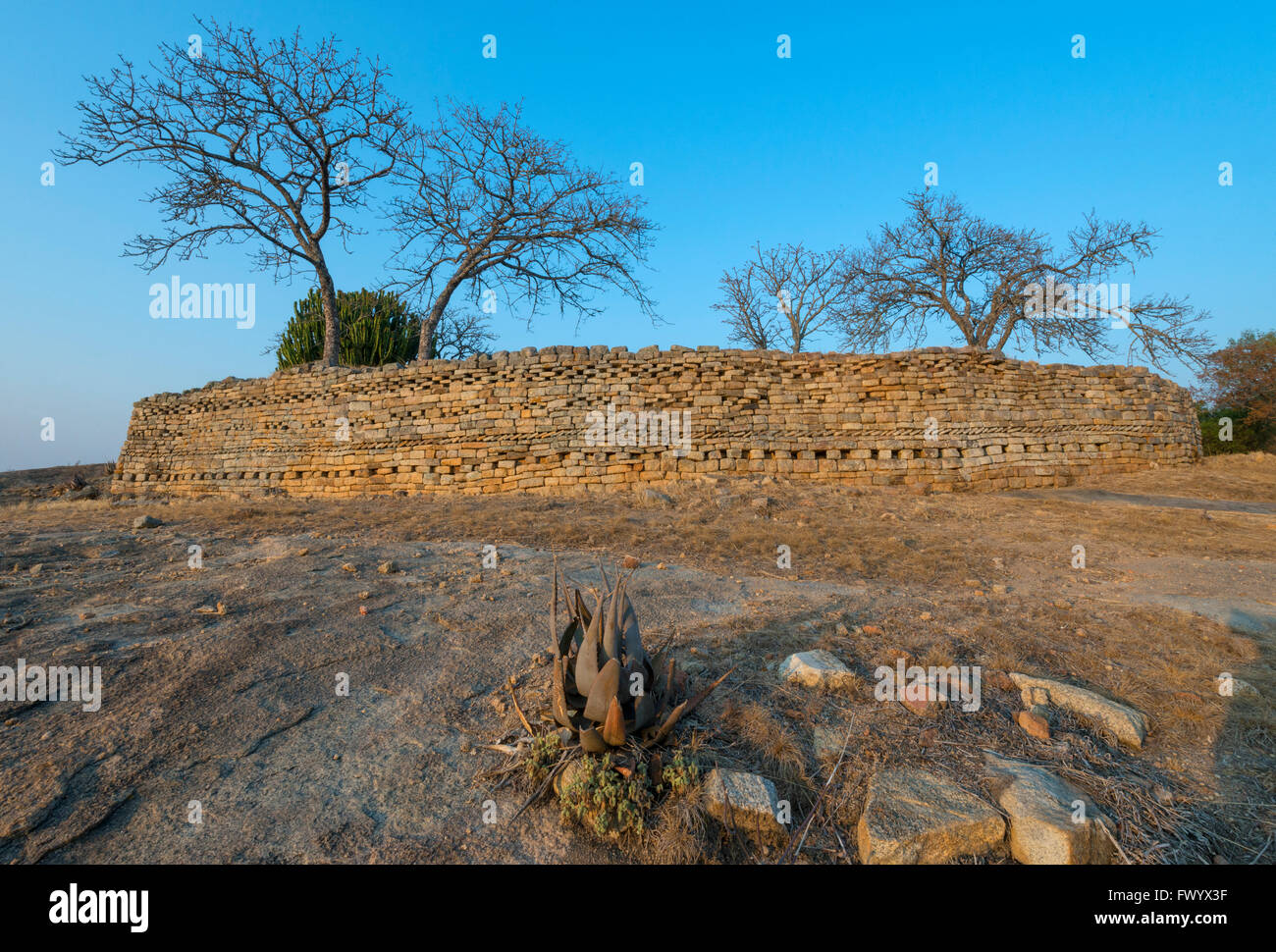 Dhlo dhlo ruins hi-res stock photography and images - Alamy