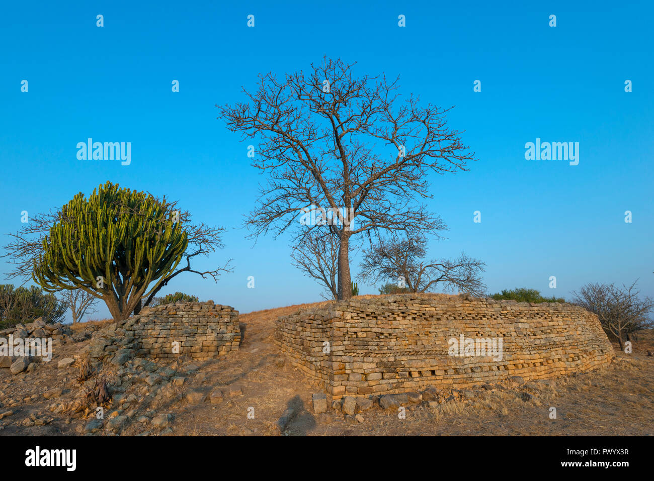 Kalanga people hi-res stock photography and images - Alamy