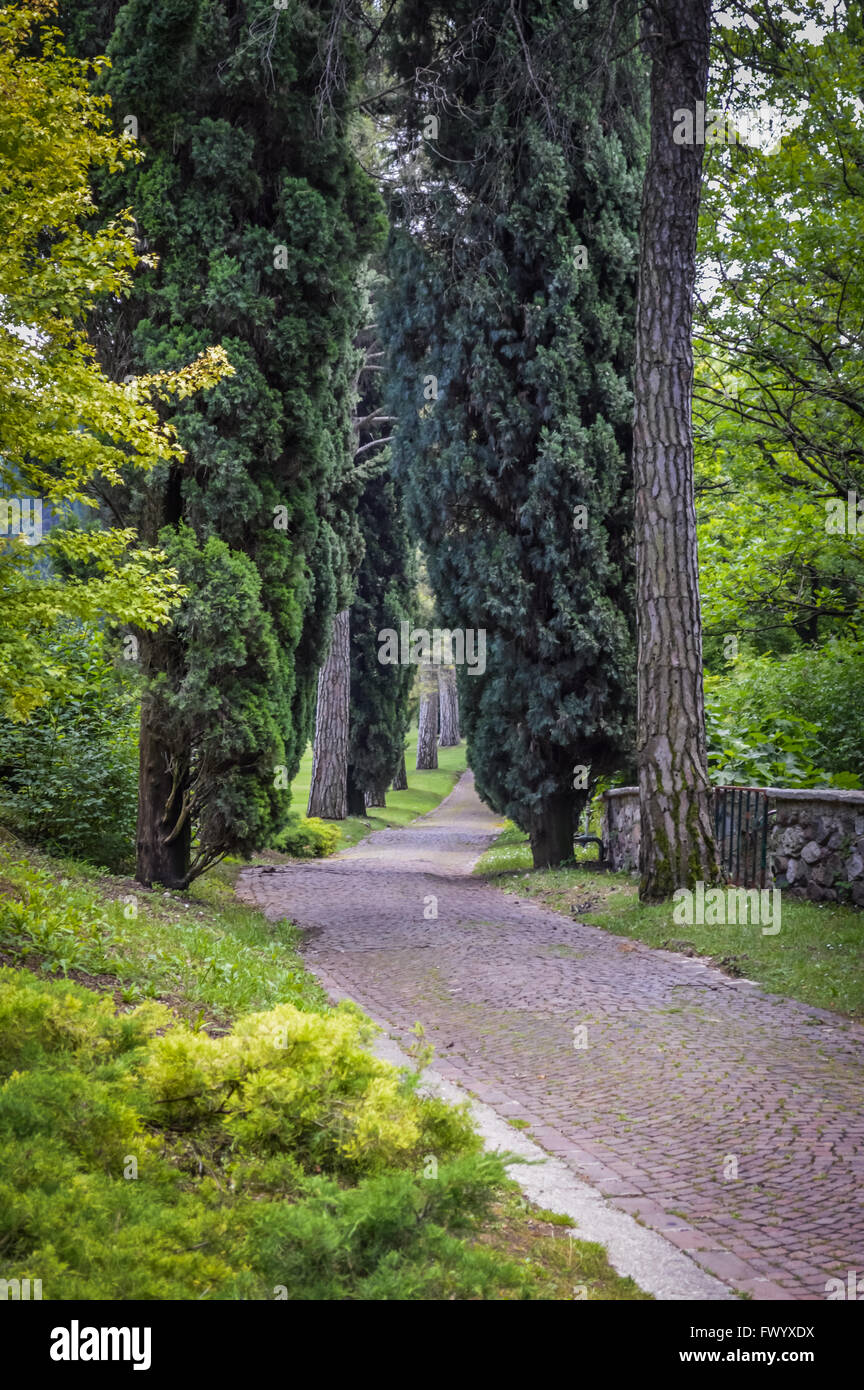 Walk of the cypress trees hi-res stock photography and images - Alamy