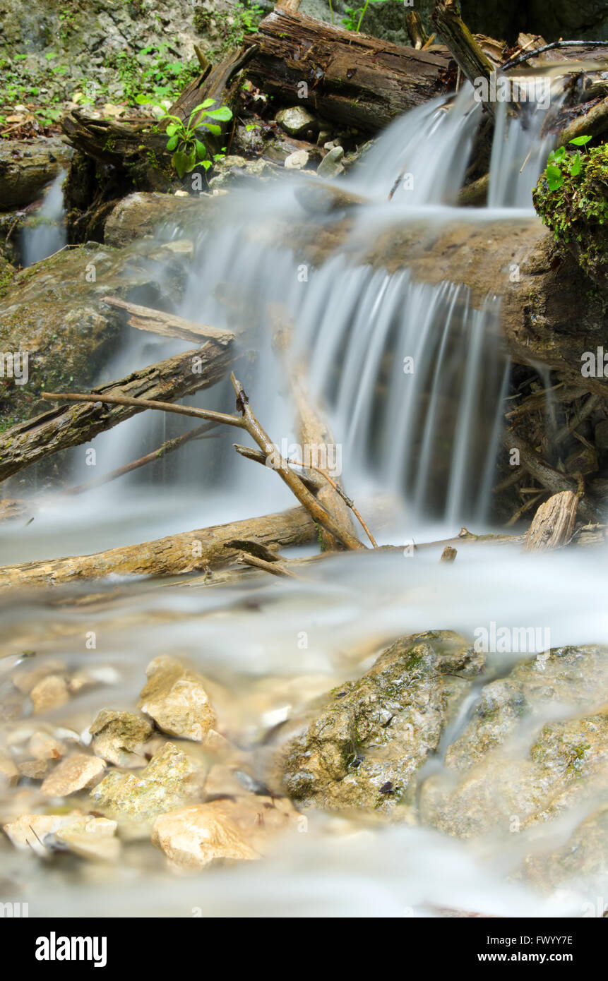 Small cascade between stones, branches and plants around Stock Photo ...