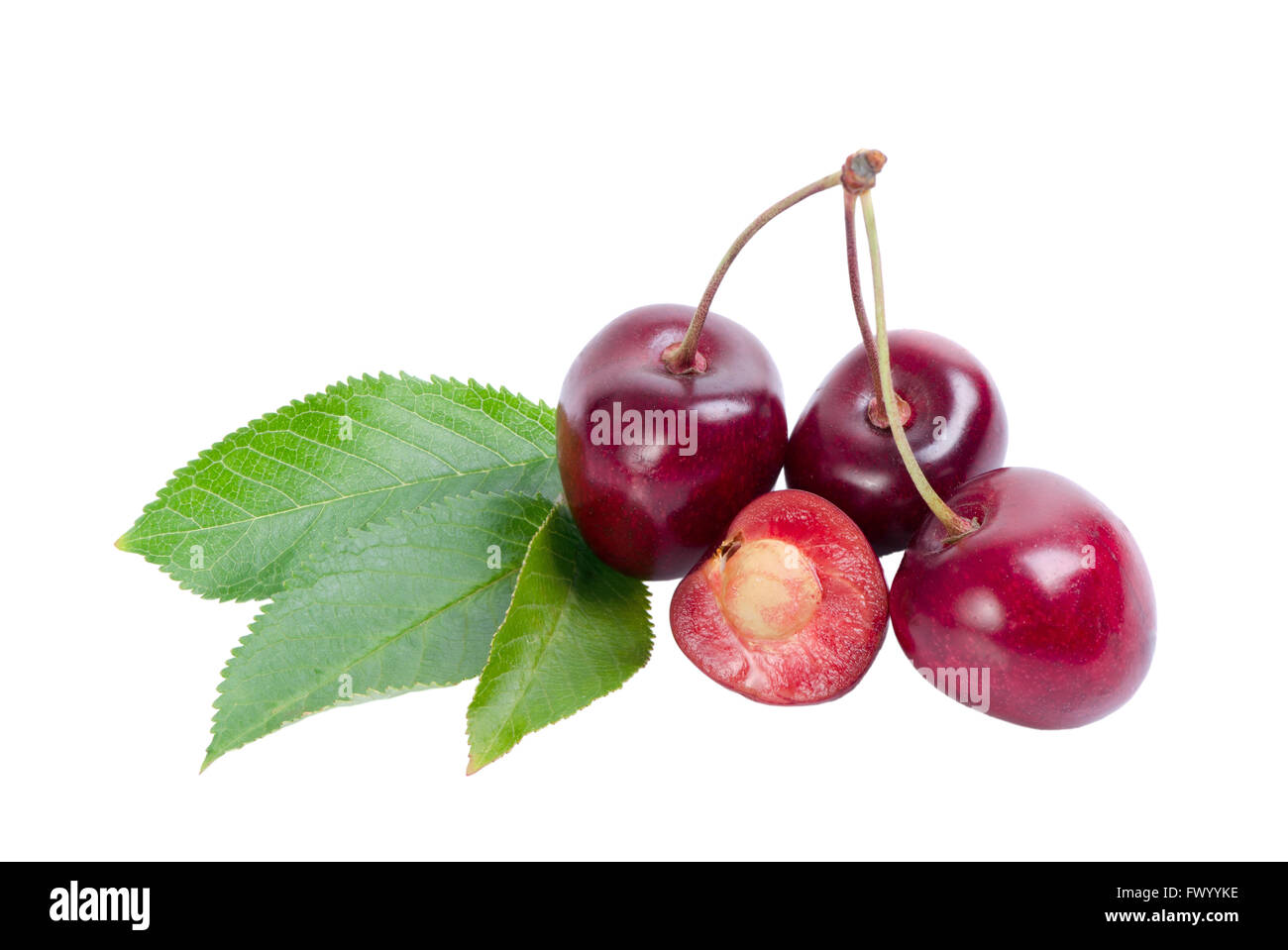 Three and one cut cherries next to leaves Stock Photo - Alamy