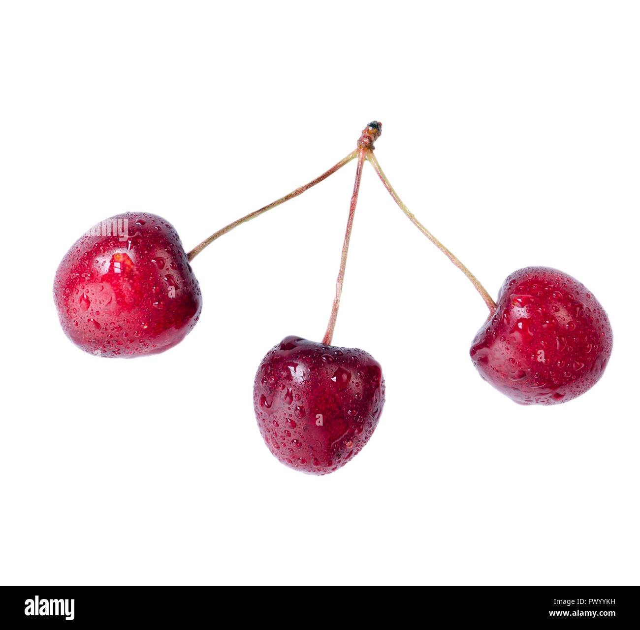 Three fresh dewy cherries isolated on white background Stock Photo - Alamy