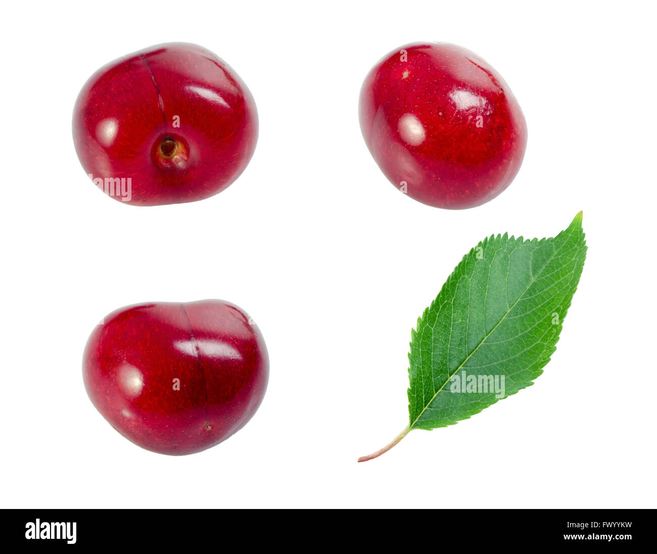 Leaf angles hi-res stock photography and images - Alamy