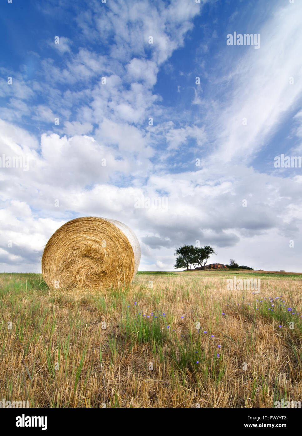 Straw bale house hi-res stock photography and images - Alamy