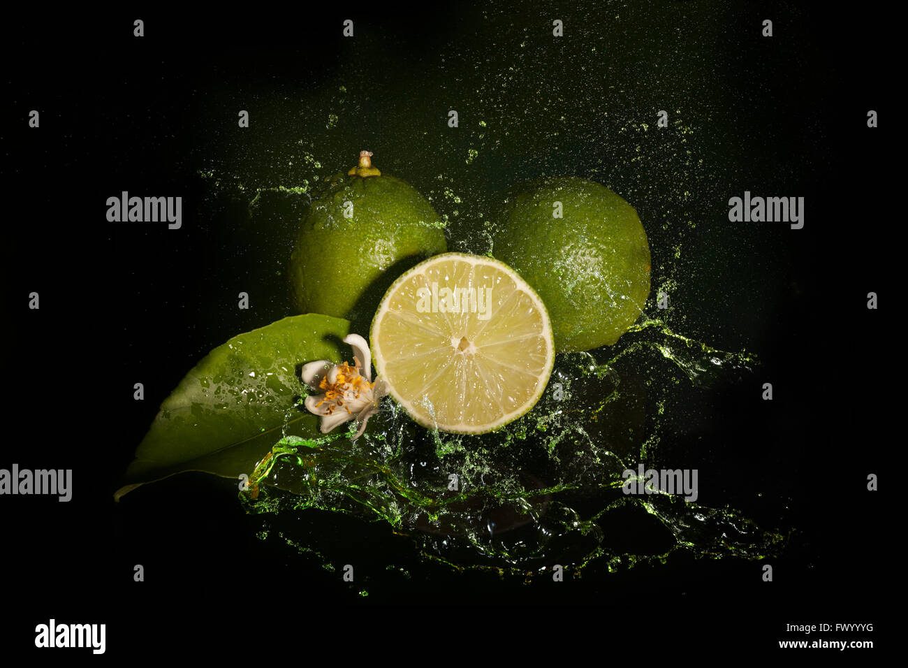 Freshly squeezed lime juice hi-res stock photography and images - Alamy