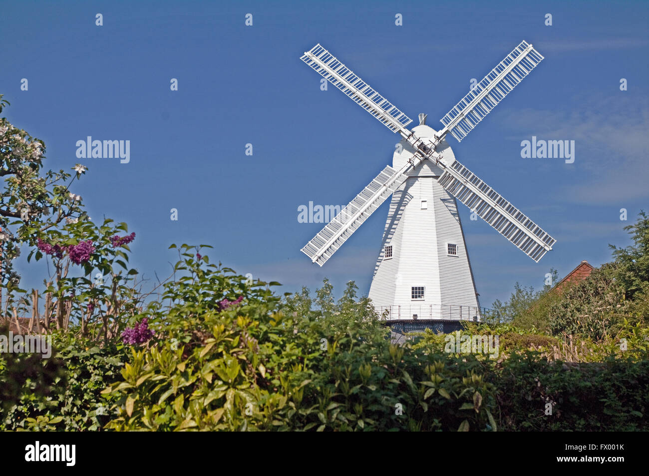 Cranbrook, Union Mill Windmill, Kent, England Stock Photo - Alamy