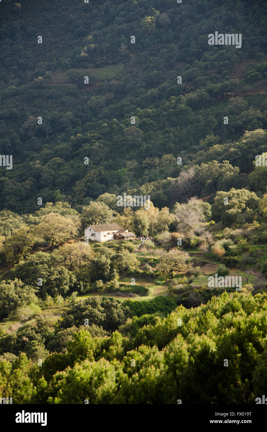 Andalusian countryside, with small farm, Sierra de las nieves ...