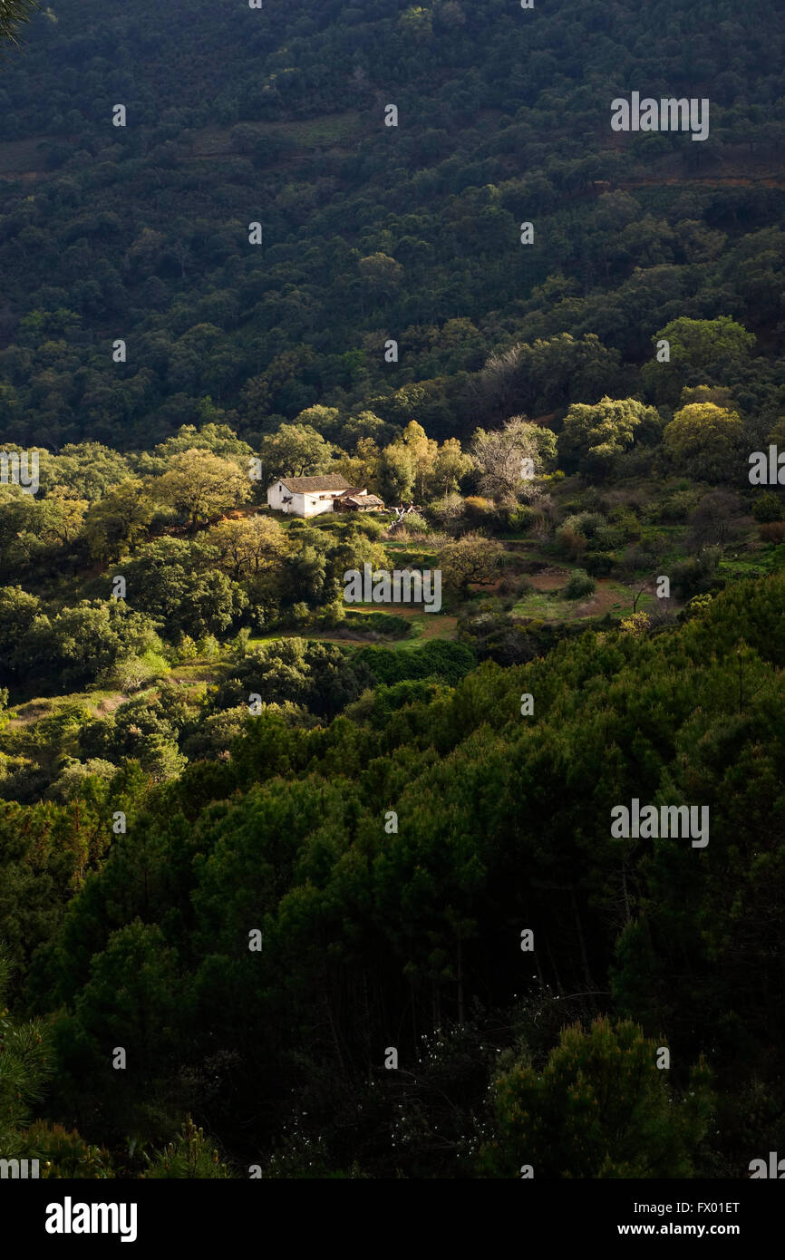 Andalusian countryside, with small farm, Sierra de las nieves ...