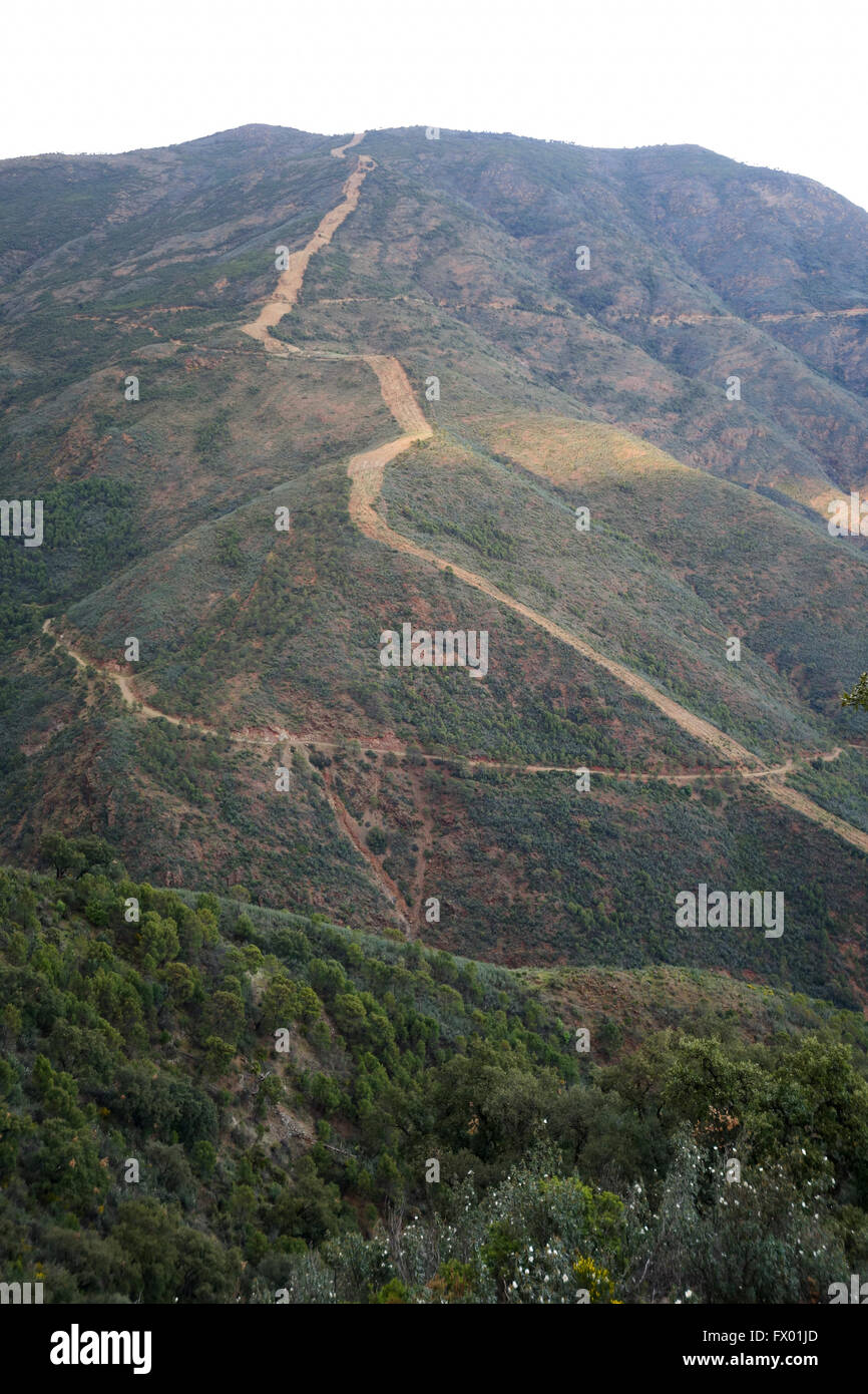 Landscape with firebreak, fireroad, fire line, fuel break in Spanish ...