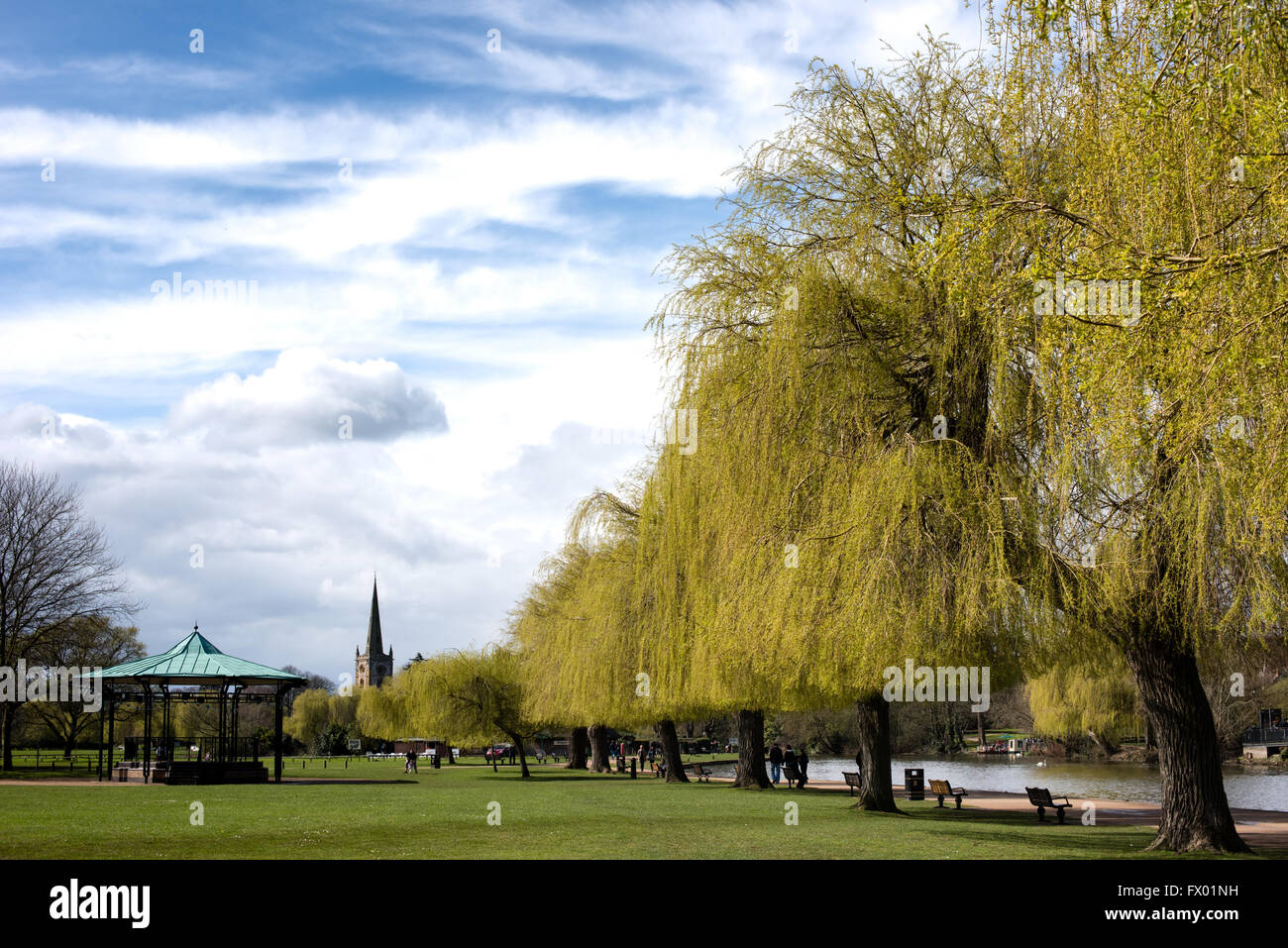 Bandstand and willow trees along the River Avon opposite the Swan ...