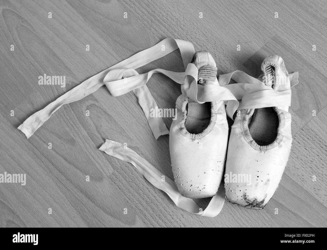 A very old, well worn, much loved and moth eaten ballet pointe shoes ...