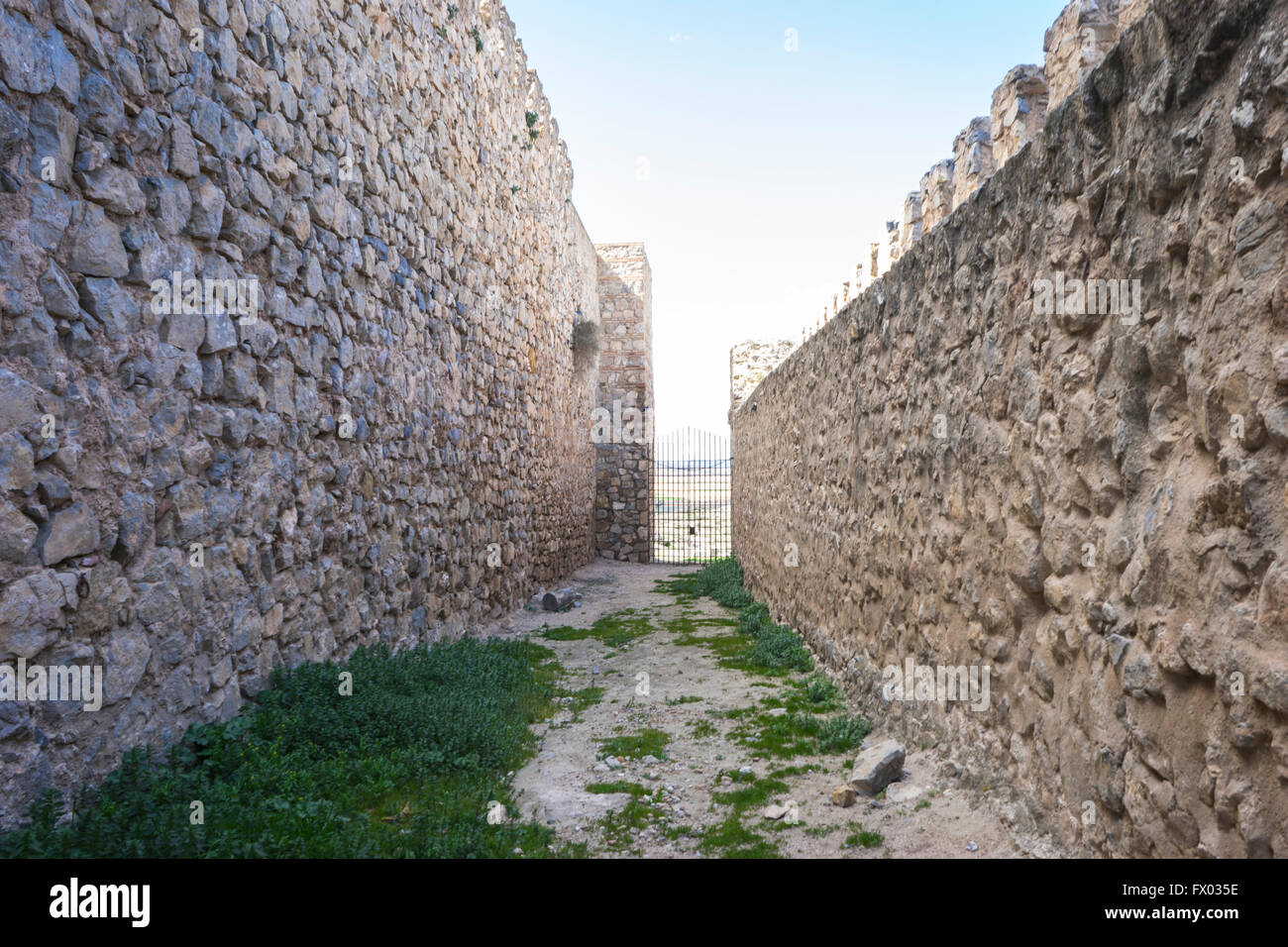 fortification medieval castle of Consuegra in the province of Toledo ...