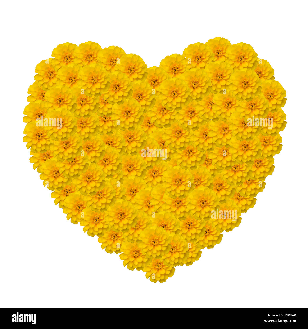 heart of french marigolds isolated on white background Stock Photo - Alamy