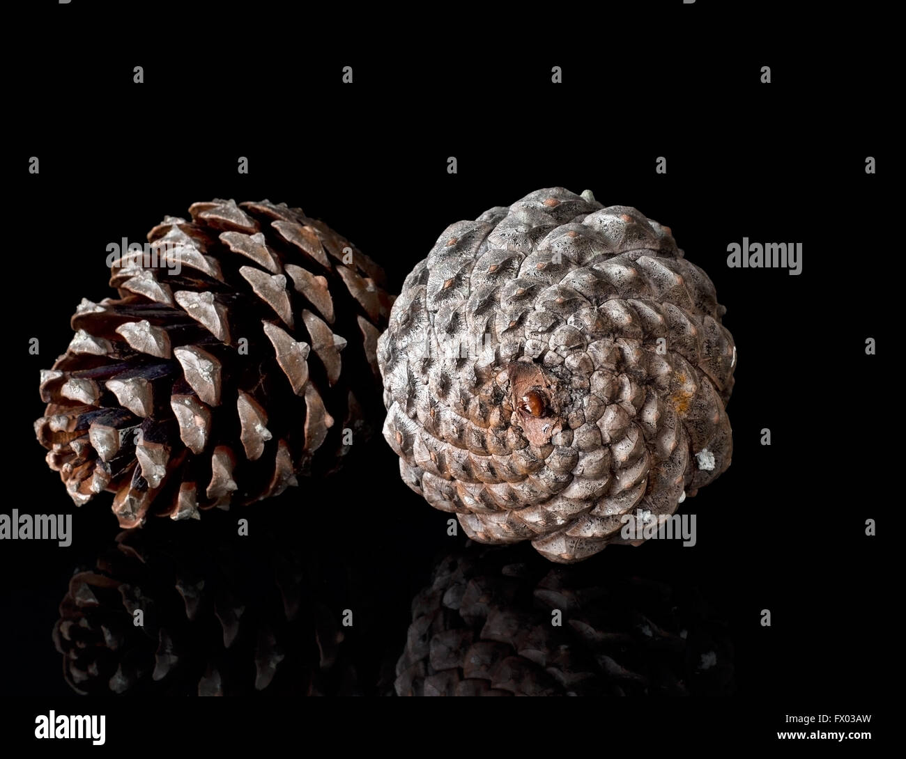 Fibonacci pattern hi-res stock photography and images - Alamy