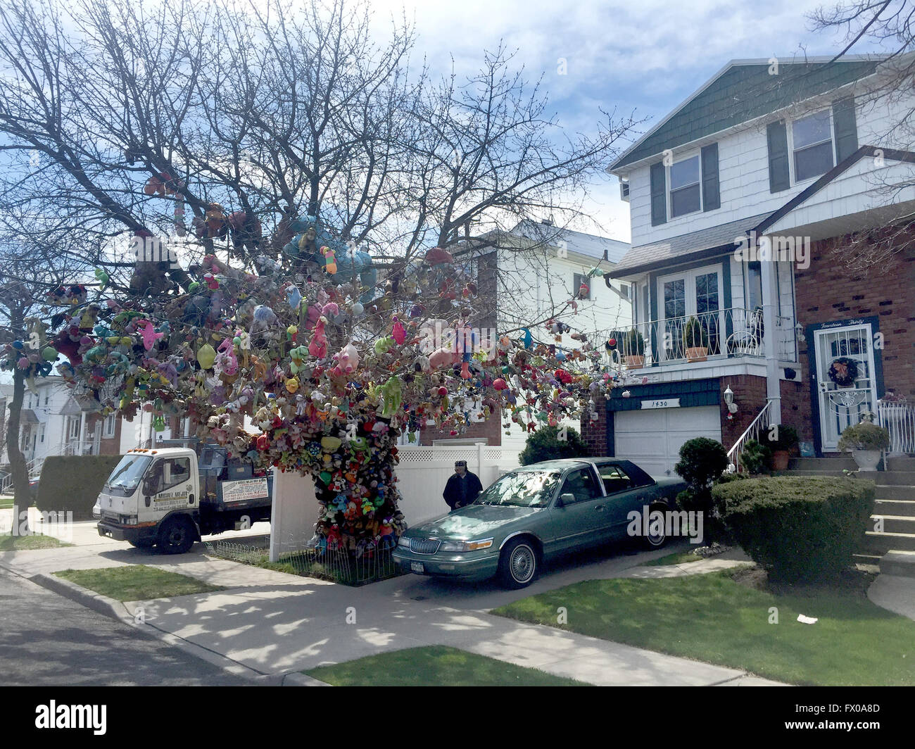 New York, USA. 06th Apr, 2016. The cherry tree Eugene Fellner has ...