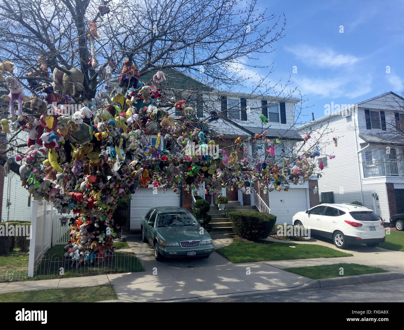 New York, USA. 06th Apr, 2016. The cherry tree Eugene Fellner has ...