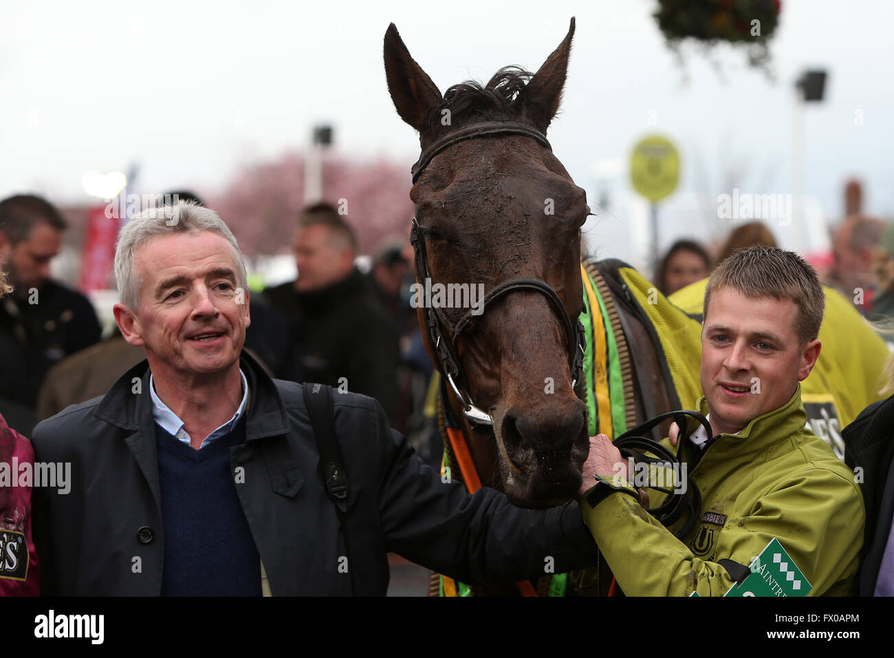 Horse owner michael oleary hi-res stock photography and images - Alamy
