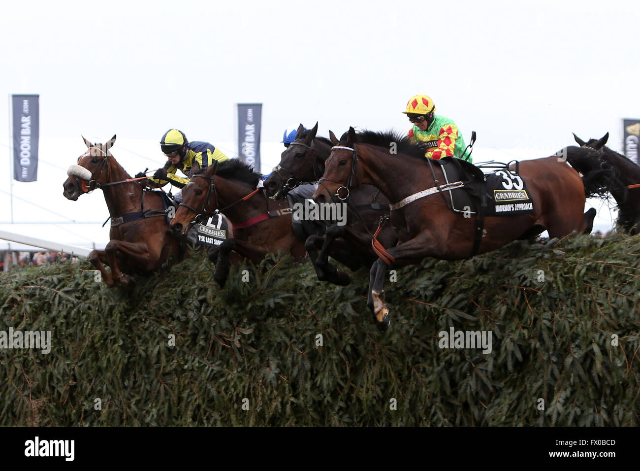 Grand national aintree chair hi-res stock photography and images - Alamy