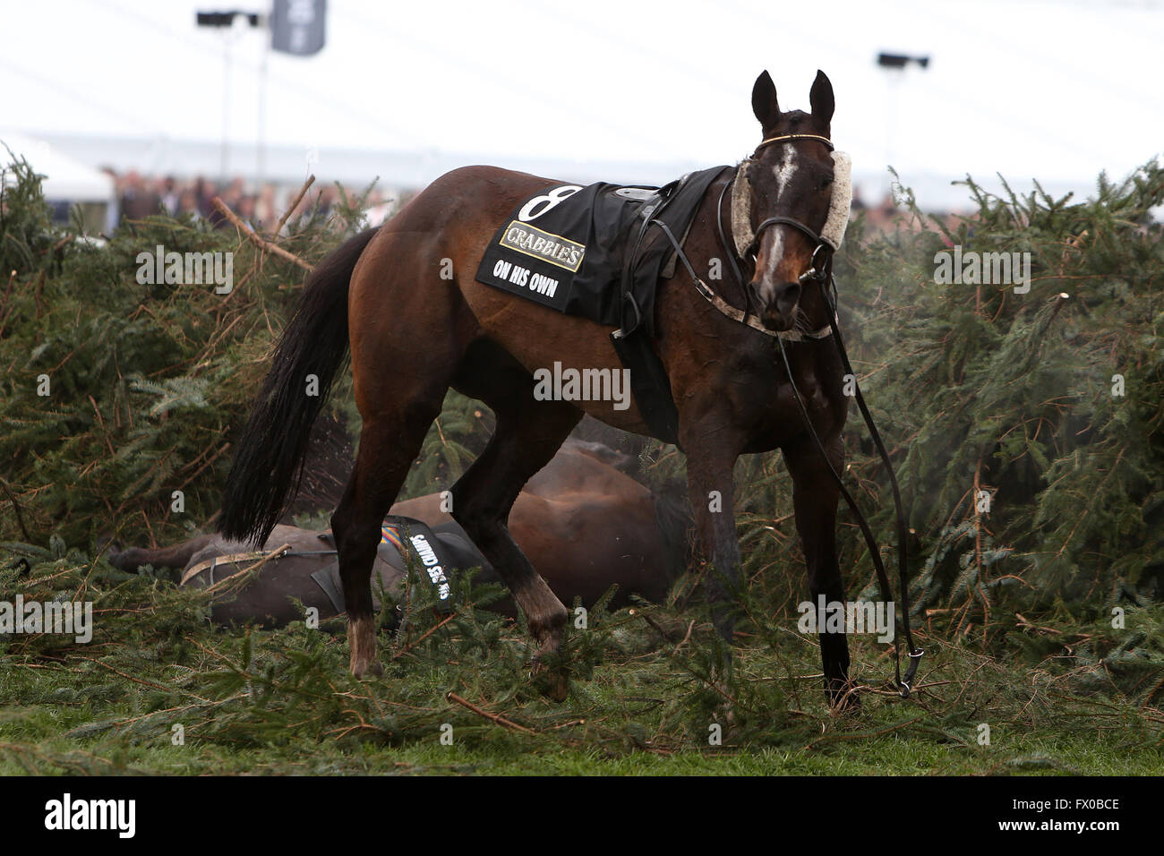 Grand national aintree chair hi-res stock photography and images - Alamy
