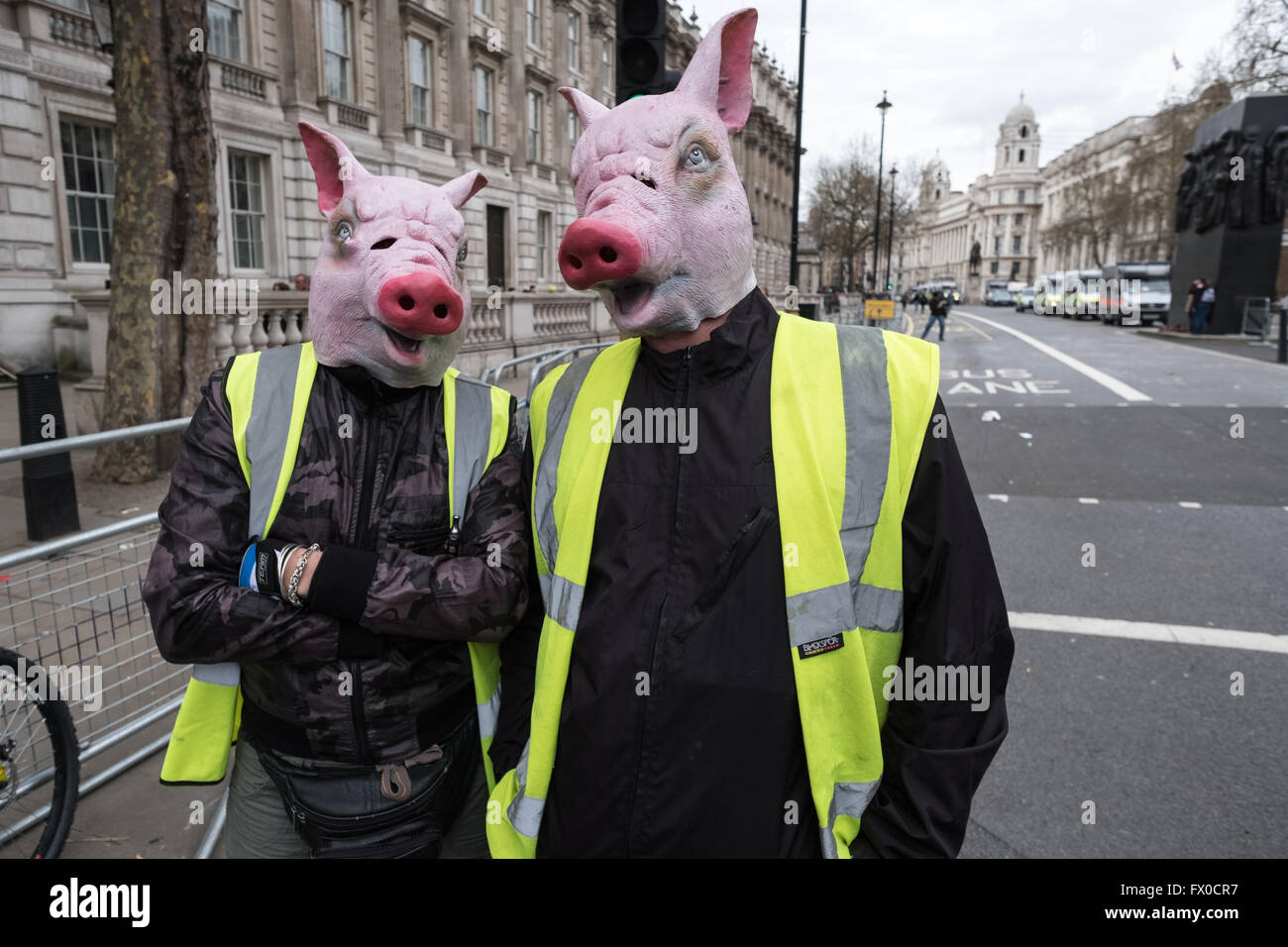 Pigs head david cameron hi-res stock photography and images - Alamy
