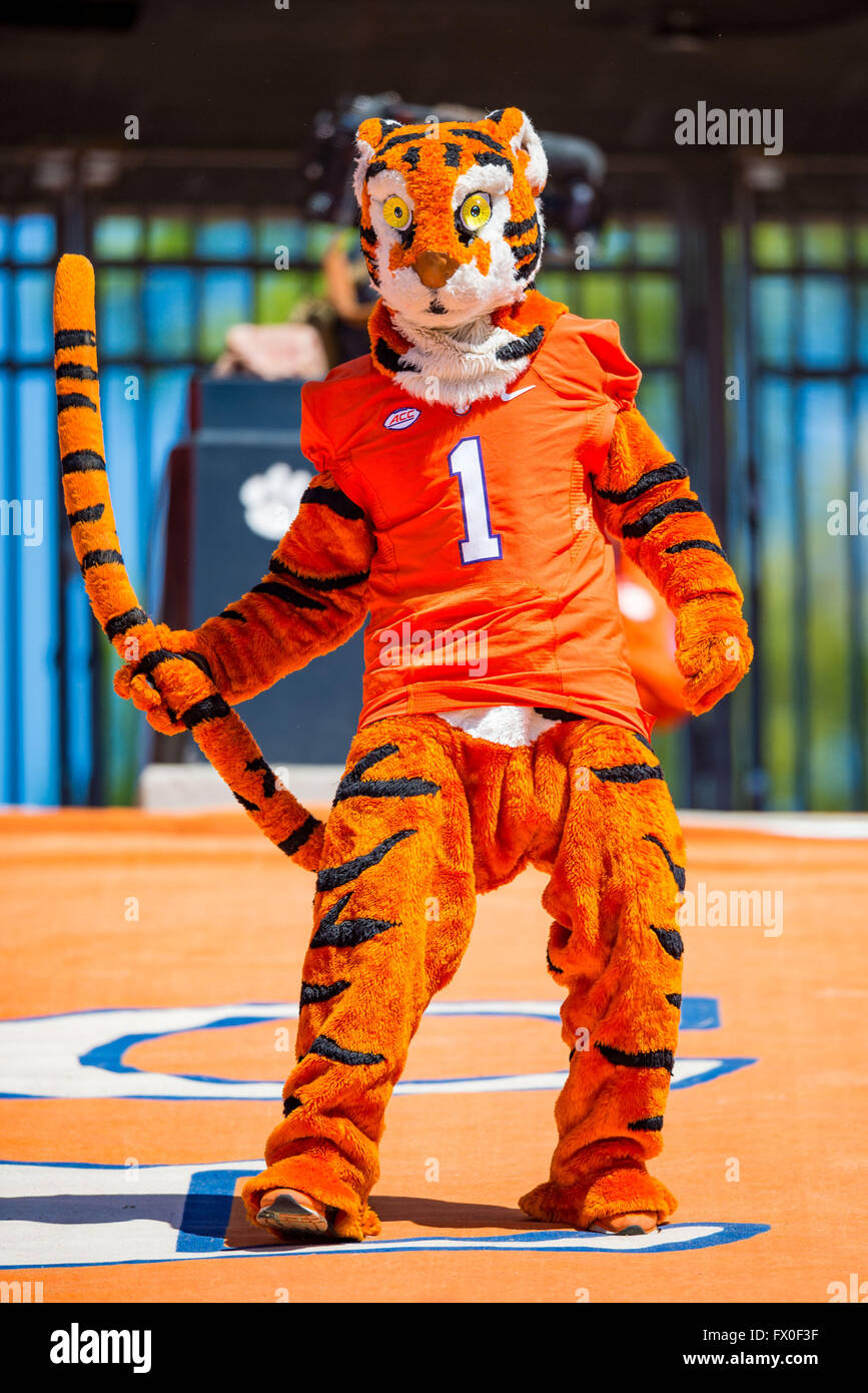 The Clemson Tiger Mascot during the Clemson Football Spring Game ... The Clemson Tiger Mascot during the Clemson Football Spring Game ...