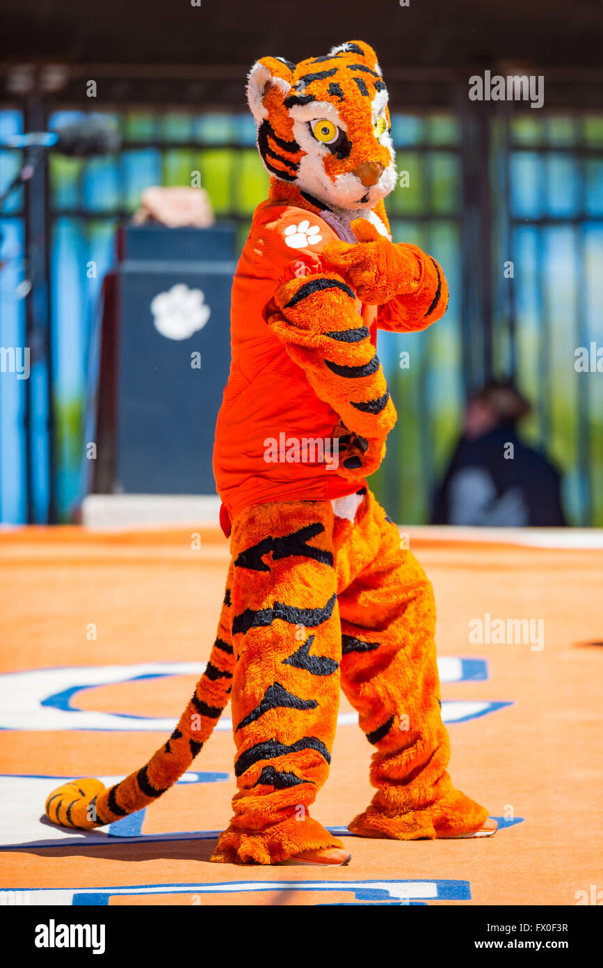 The Clemson Tiger Mascot during the Clemson Football Spring Game ...