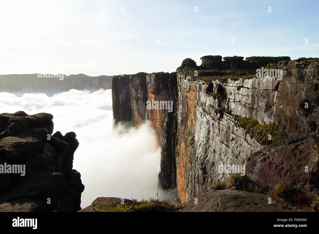 Mount Roraima - Venezuela Stock Photo - Alamy