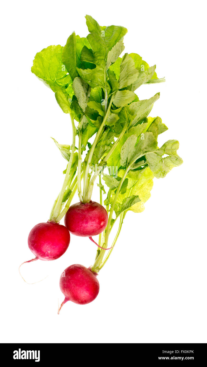 Fresh red radish with leaves isolated on white background Stock Photo ...