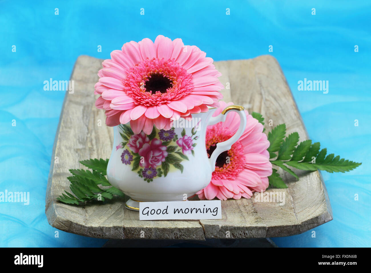 Good morning card with pink gerbera daisies in vintage porcelain cup on ...