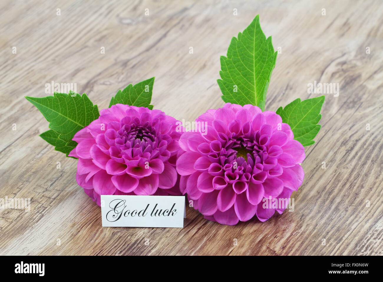 Good luck card with flowers hi-res stock photography and images - Alamy