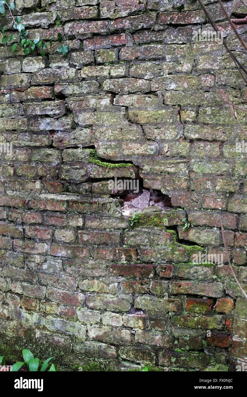 Poor quality bricks hi-res stock photography and images - Alamy