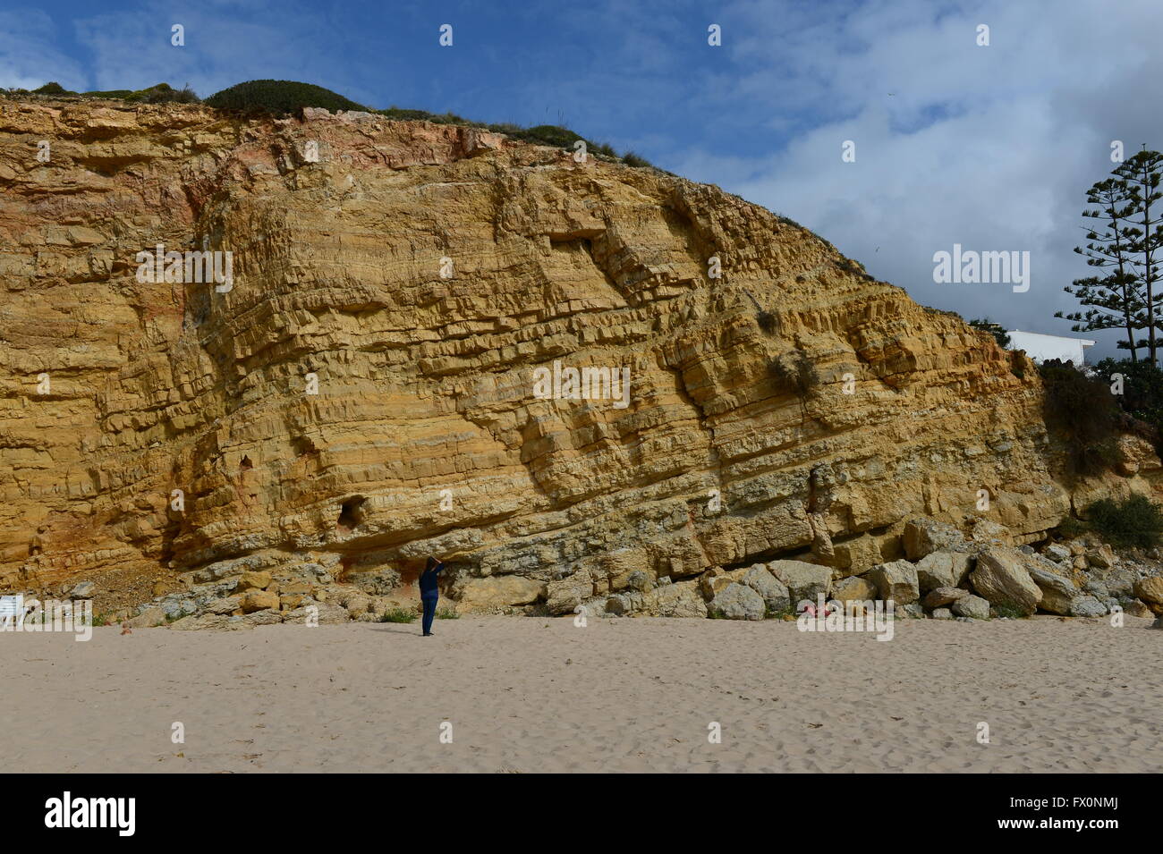 Sedimentary rocks fossils hi-res stock photography and images - Alamy