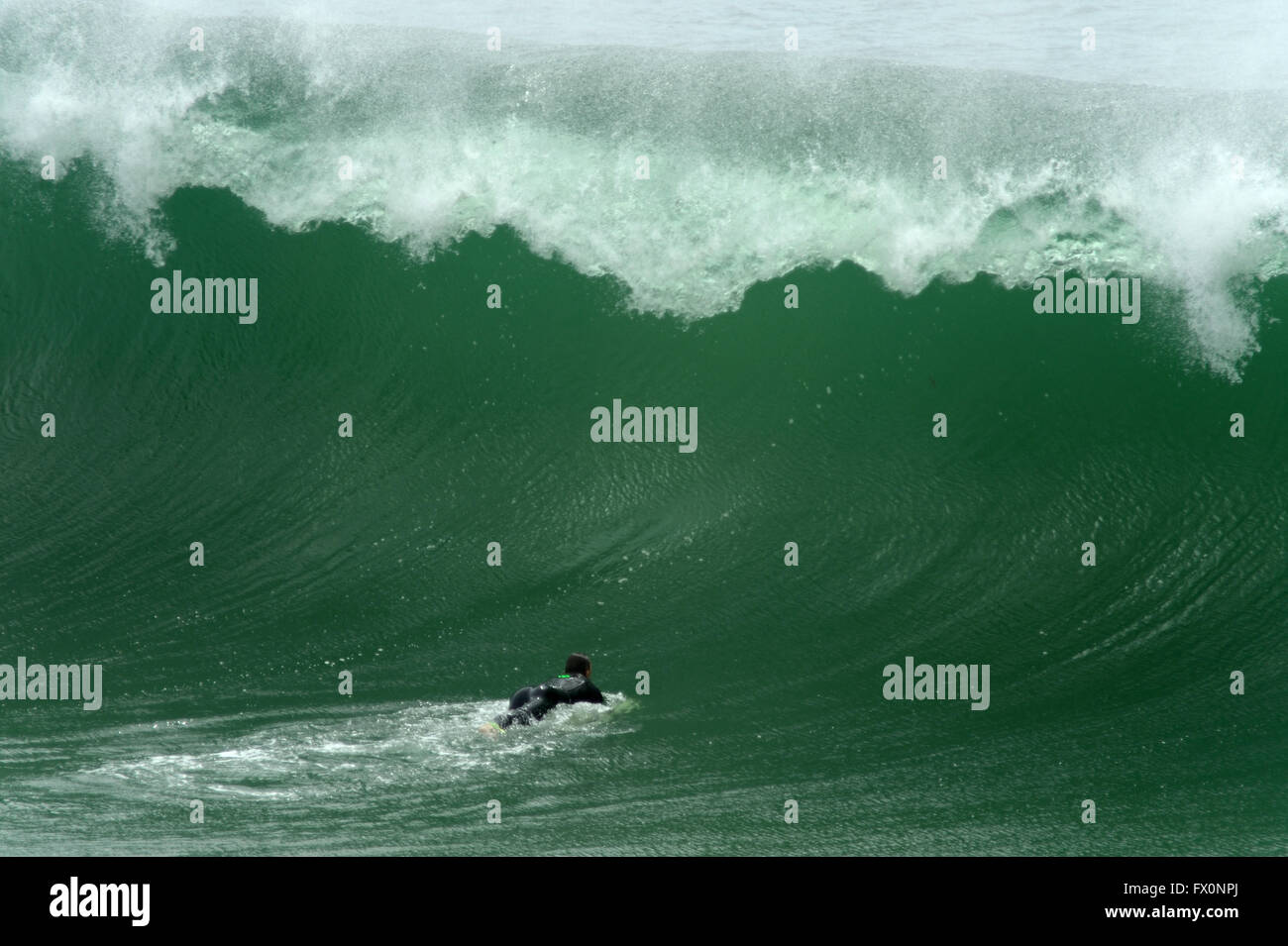 Surfer prepares to duck dive a large wave in the Algarve, Praia do ...