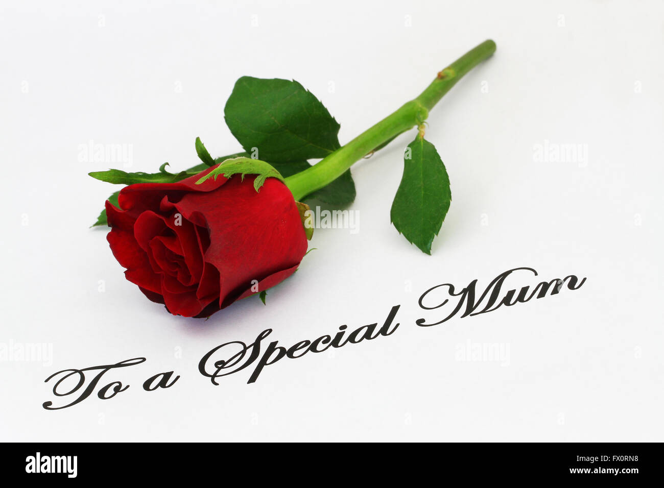 To a special Mum written on white piece of paper and red rose Stock ...