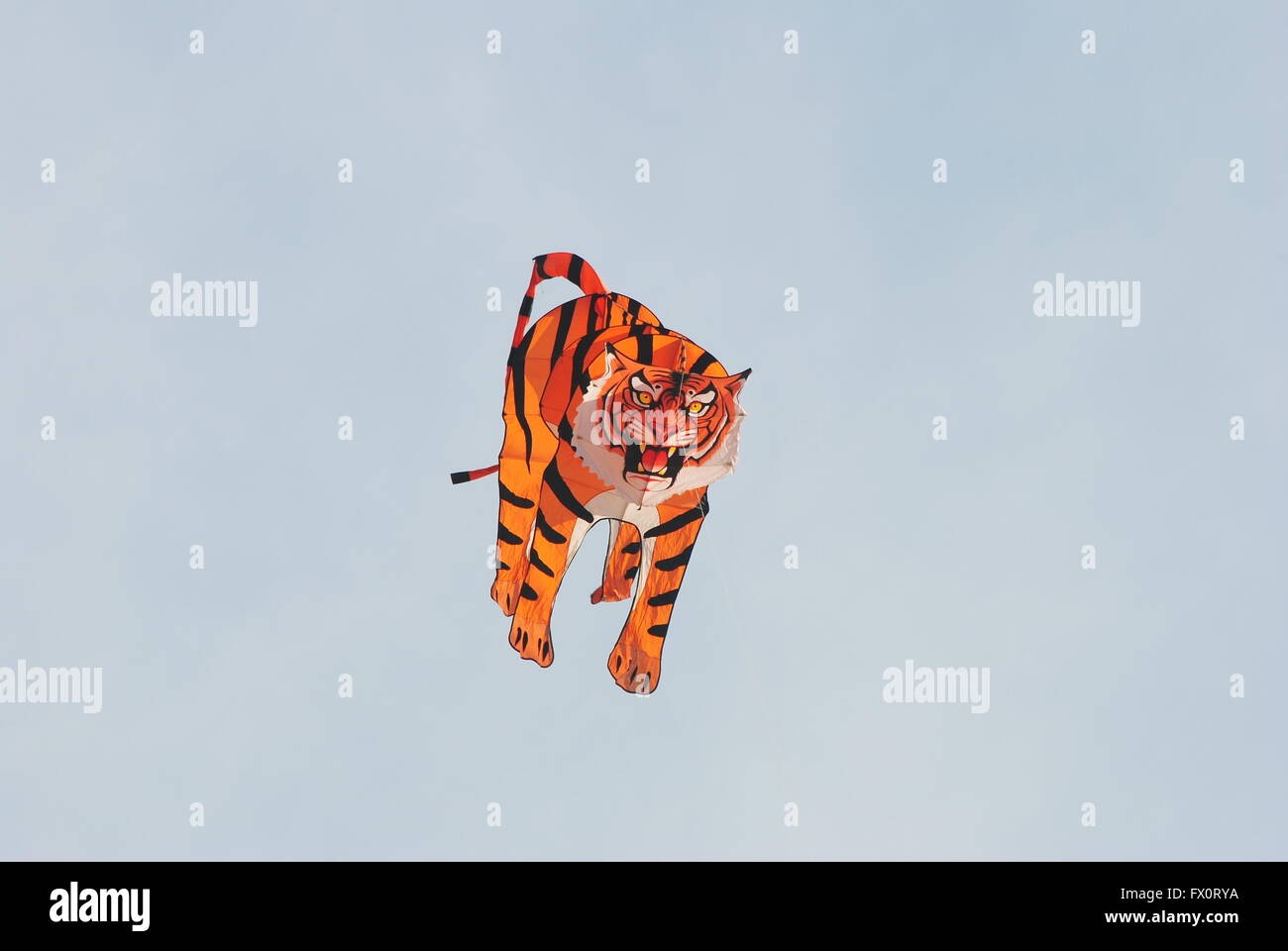 a bright and colourful tiger shaped kite flying during the Kite Flying ...