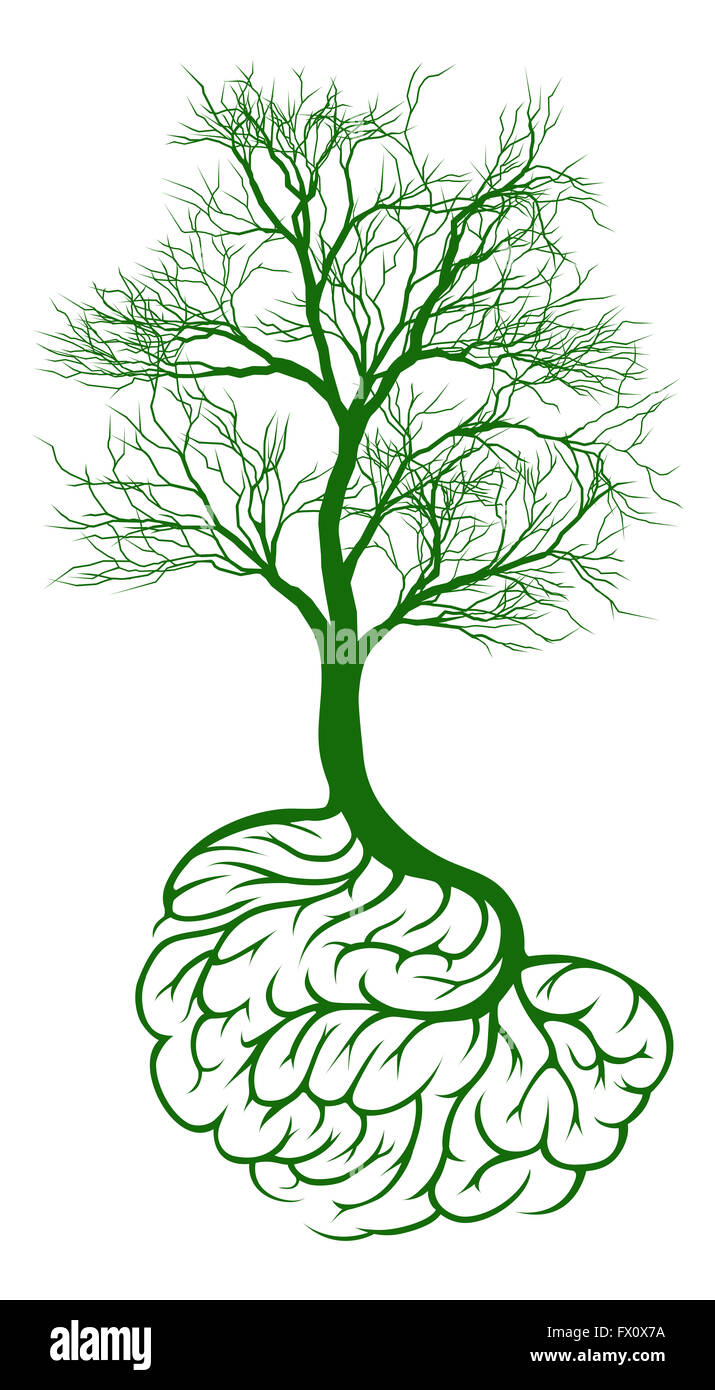 A tree growing from rooots shaped like a human brain Stock Photo - Alamy