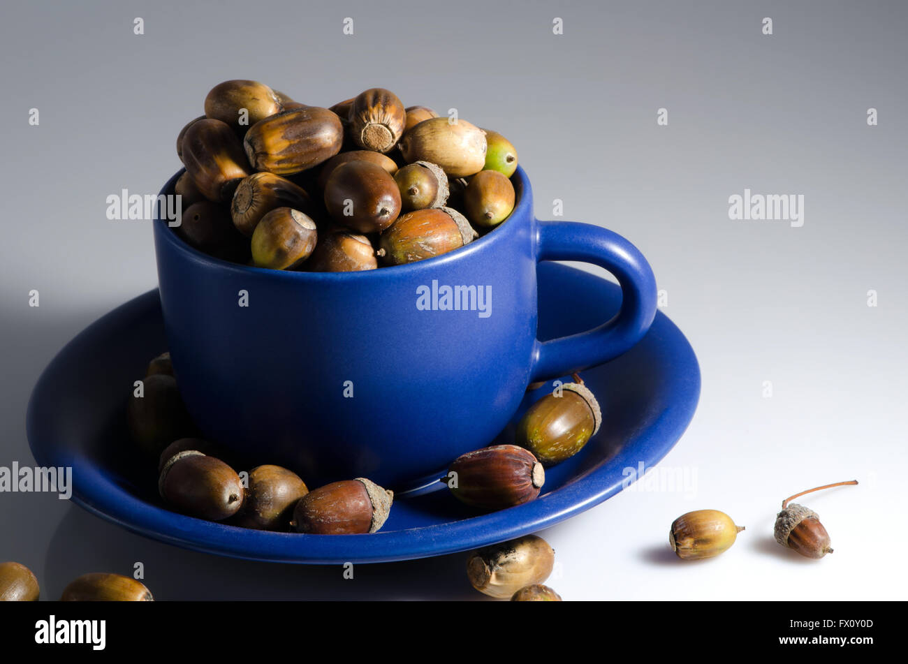 Lot of acorns around and in blue mug with small plate Stock Photo - Alamy