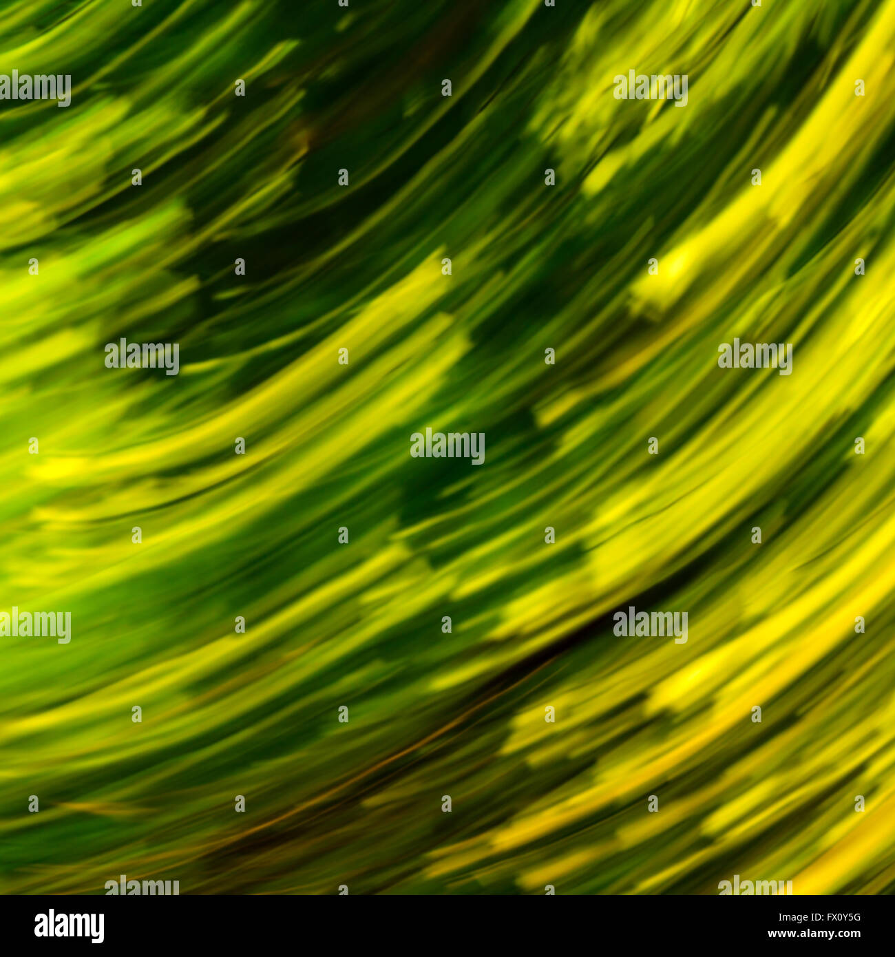 Green yellow abstract nature background of blurred lines Stock Photo ...