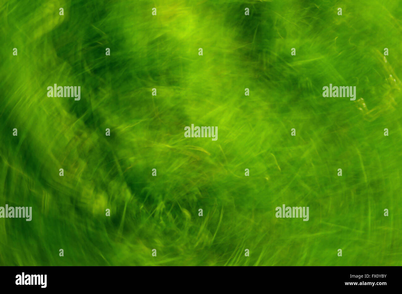 Green random lines background. Business, nature pattern Stock Photo - Alamy