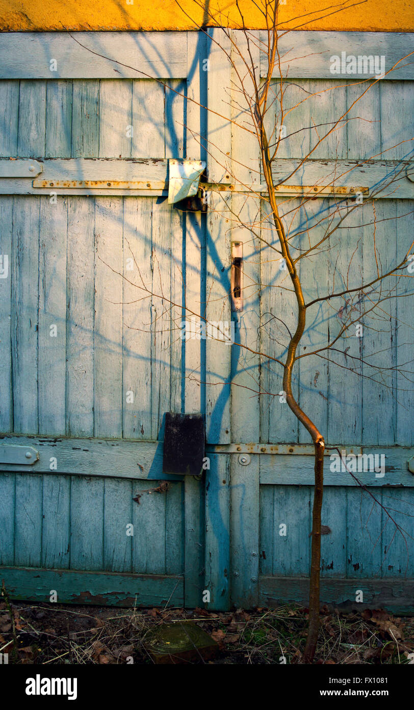 Shadow tree door wall architecture hi-res stock photography and images ...