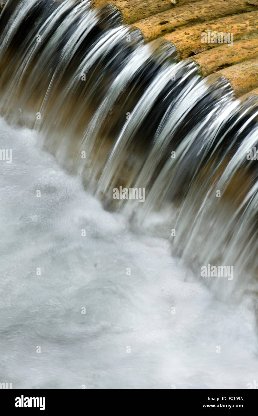 Wet wood log hi-res stock photography and images - Alamy
