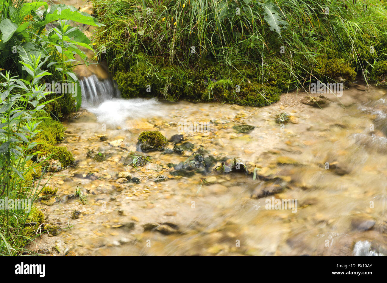 Stream with small cascade and plants around Stock Photo - Alamy