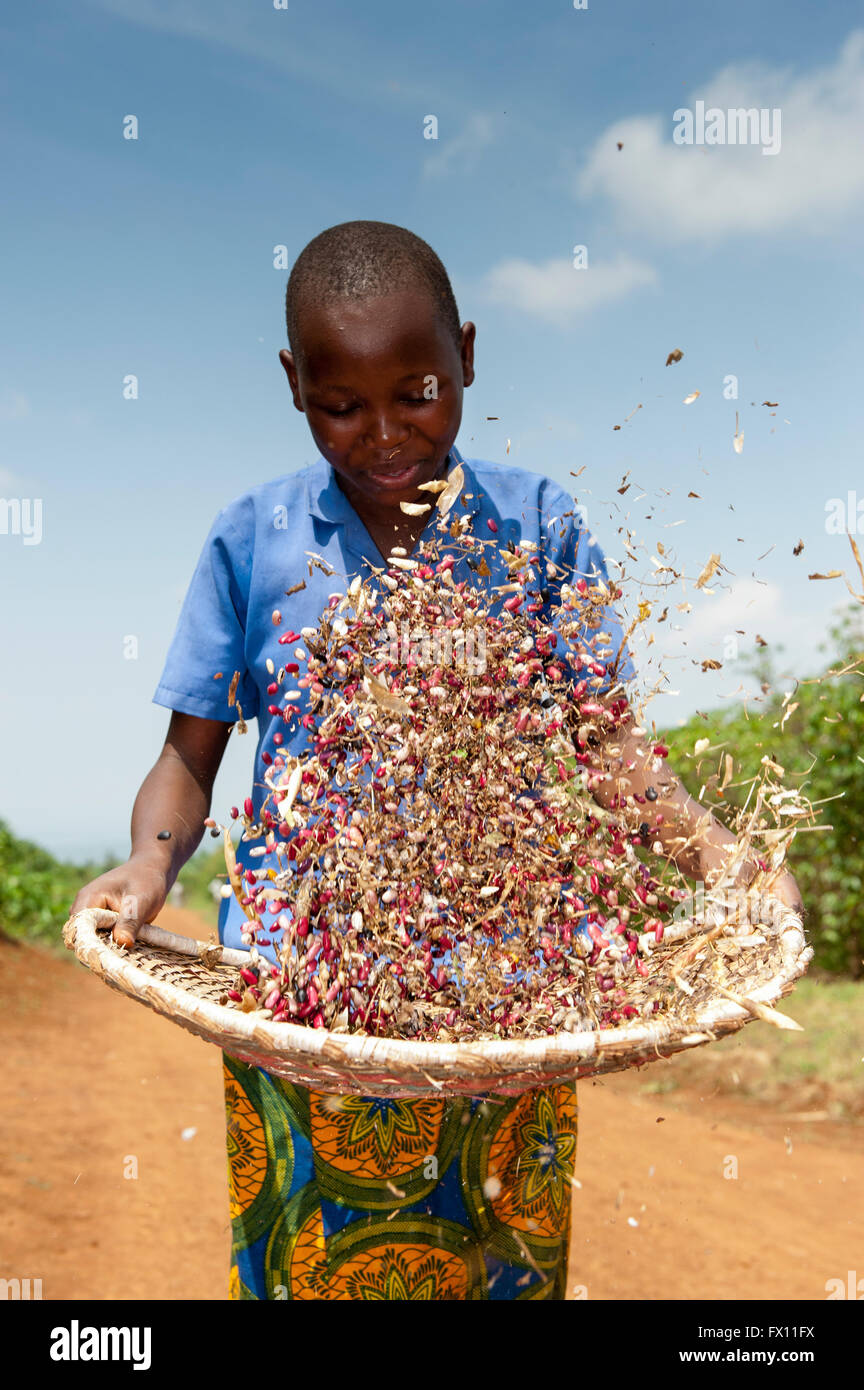 Chaff hi-res stock photography and images - Alamy