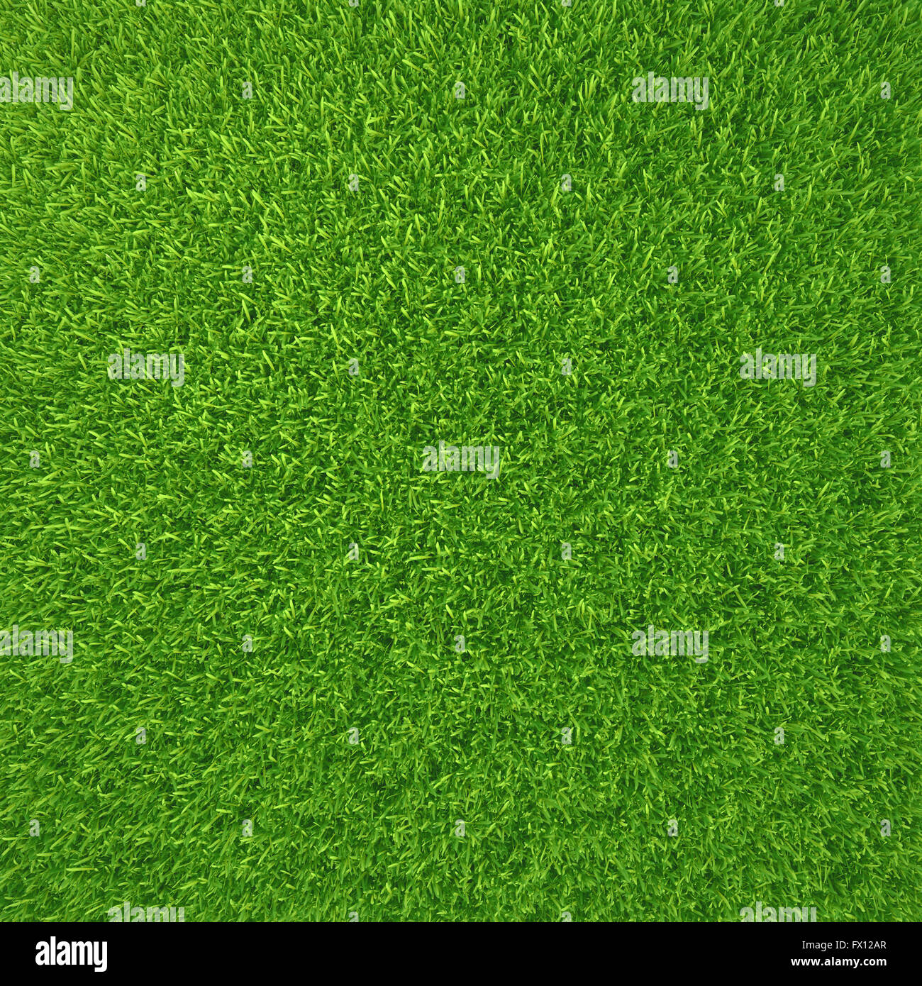 Green grass. natural background texture. fresh spring green grass Stock ...