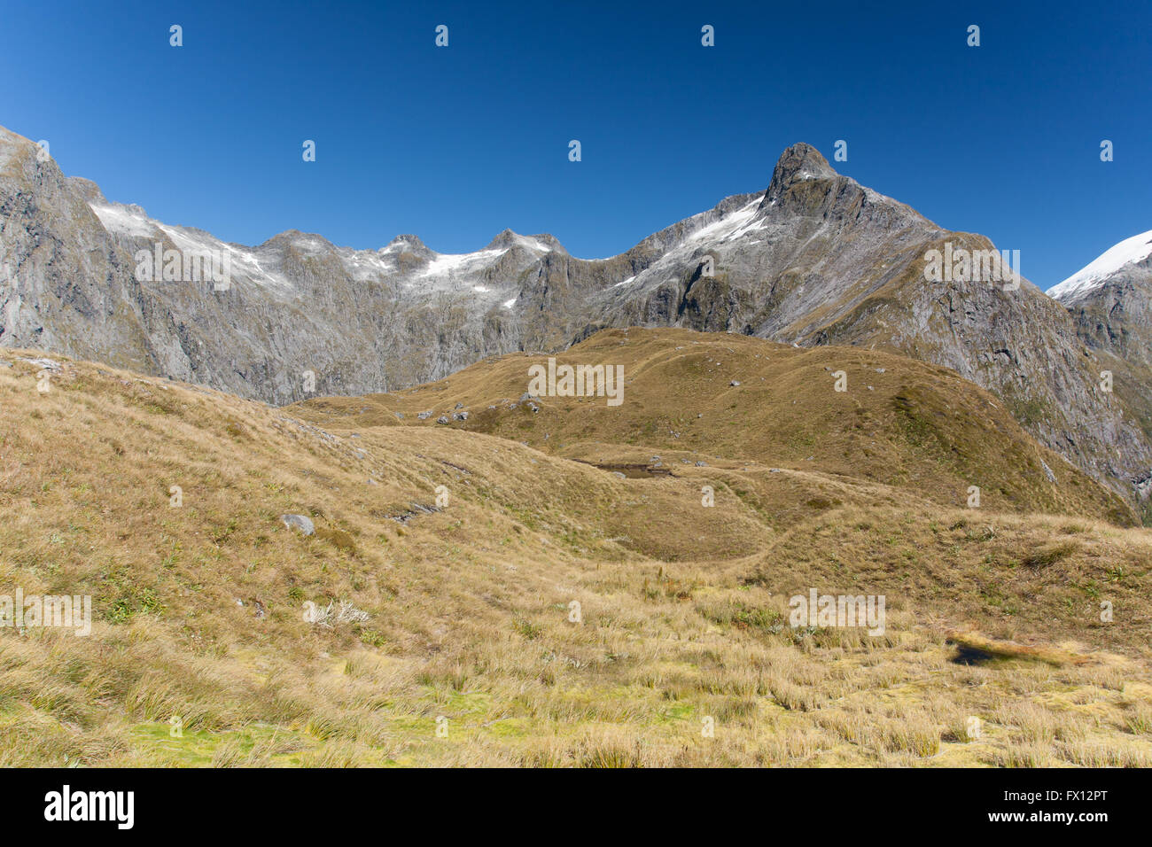 A view of the Milford track (Mackinnon pass) In New Zealand ...