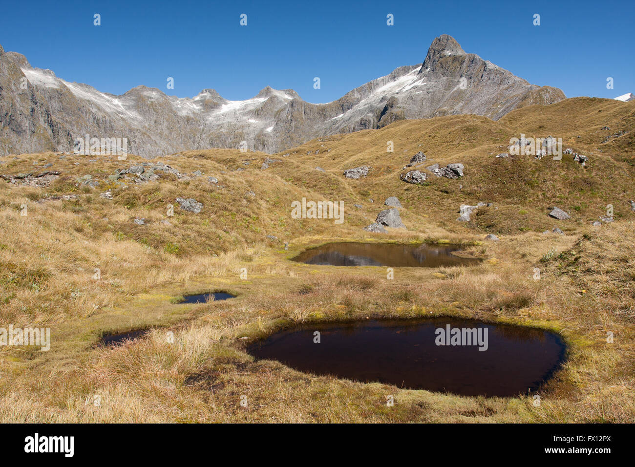 A view of the Milford track (Mackinnon pass) In New Zealand ...
