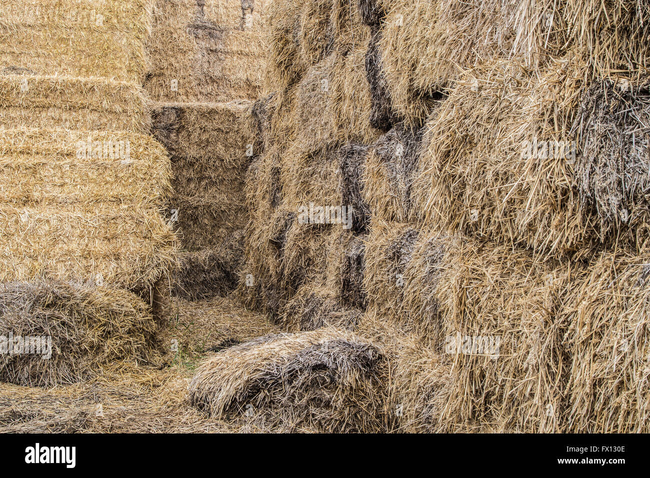 Inside the hay stack Stock Photo - Alamy
